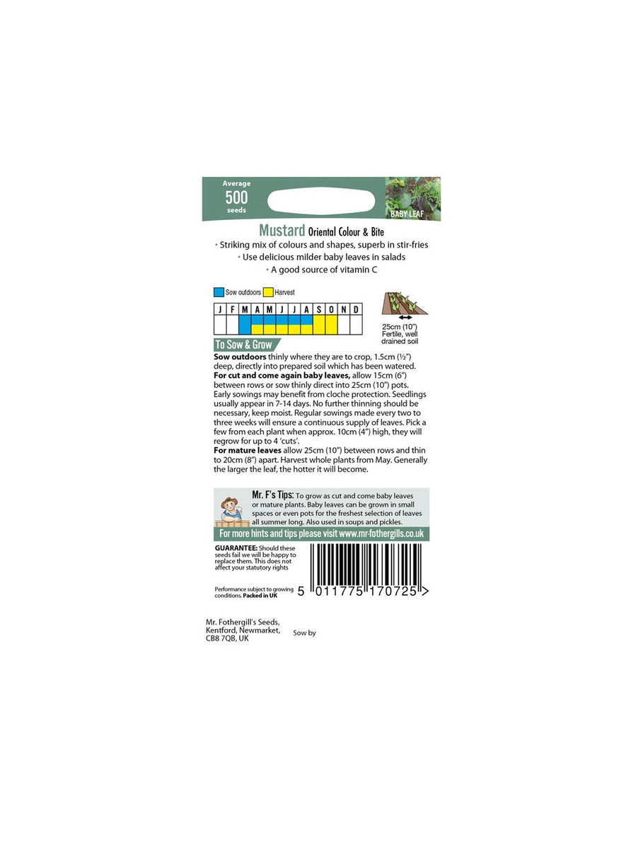 Mustard Oriental Ruby Streaks – Milestone Garden Centre