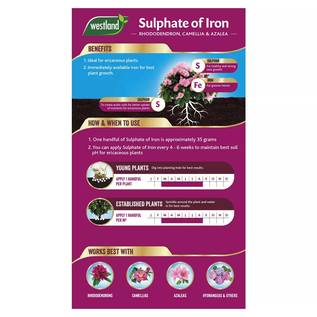 Sulphate of Iron 1.5kg – Milestone Garden Centre
