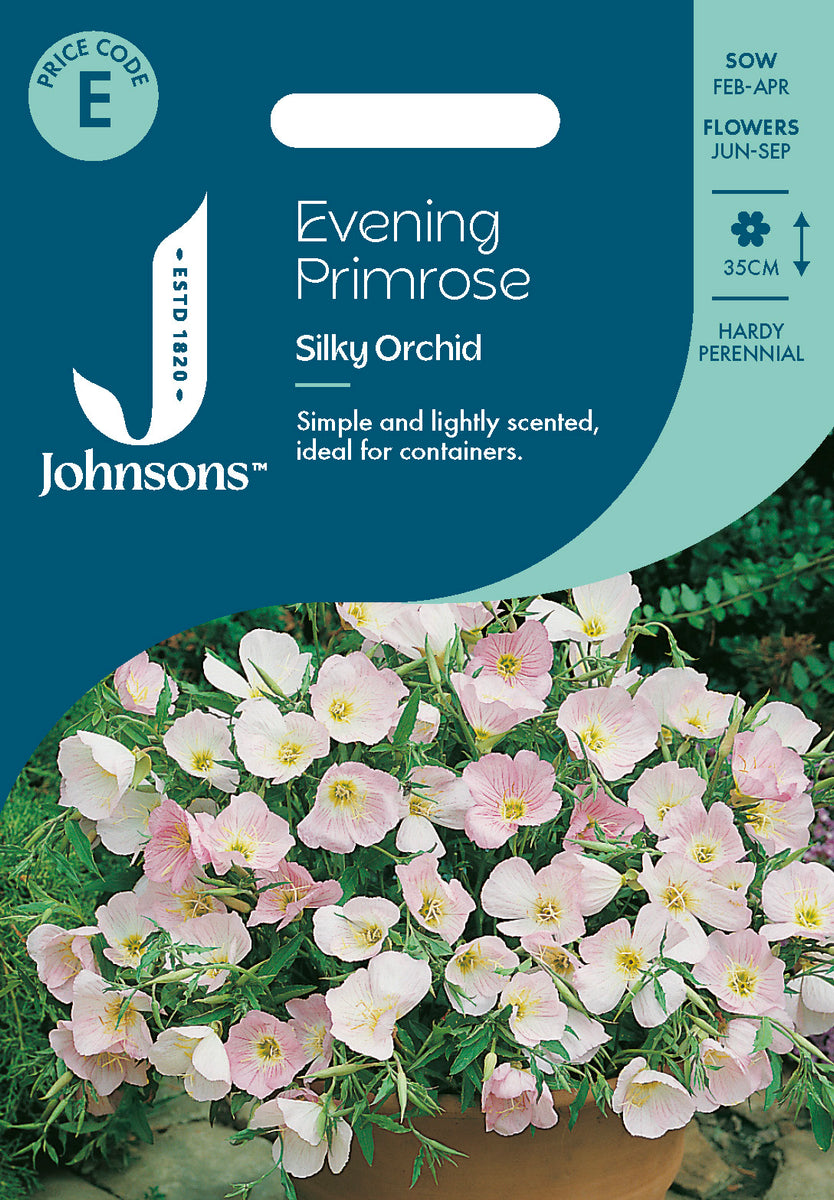 Evening Primrose Silky Orchid – Milestone Garden Centre