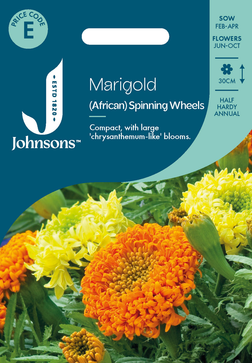 Marigold (African) Spinning Wheels – Milestone Garden Centre