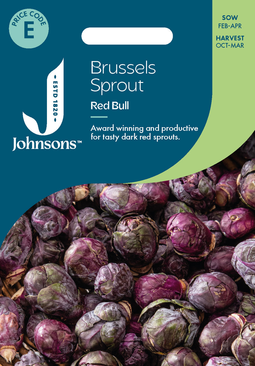 Brussels Sprout Red Bull – Milestone Garden Centre
