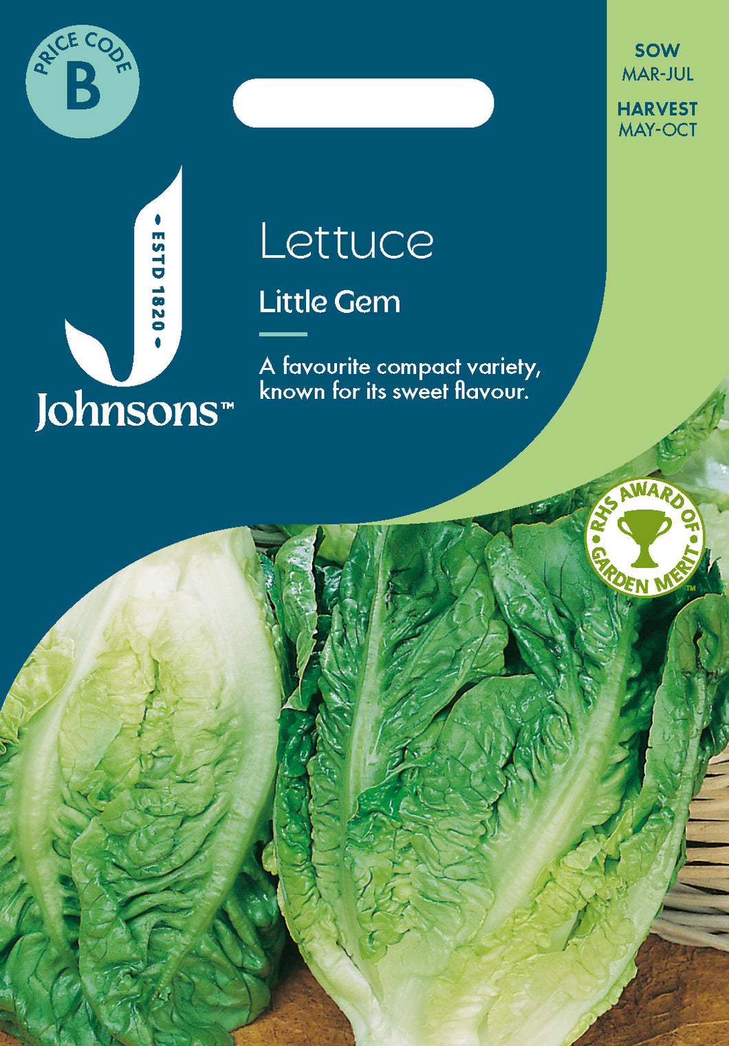 Stunning Little Gems Lettuce Images