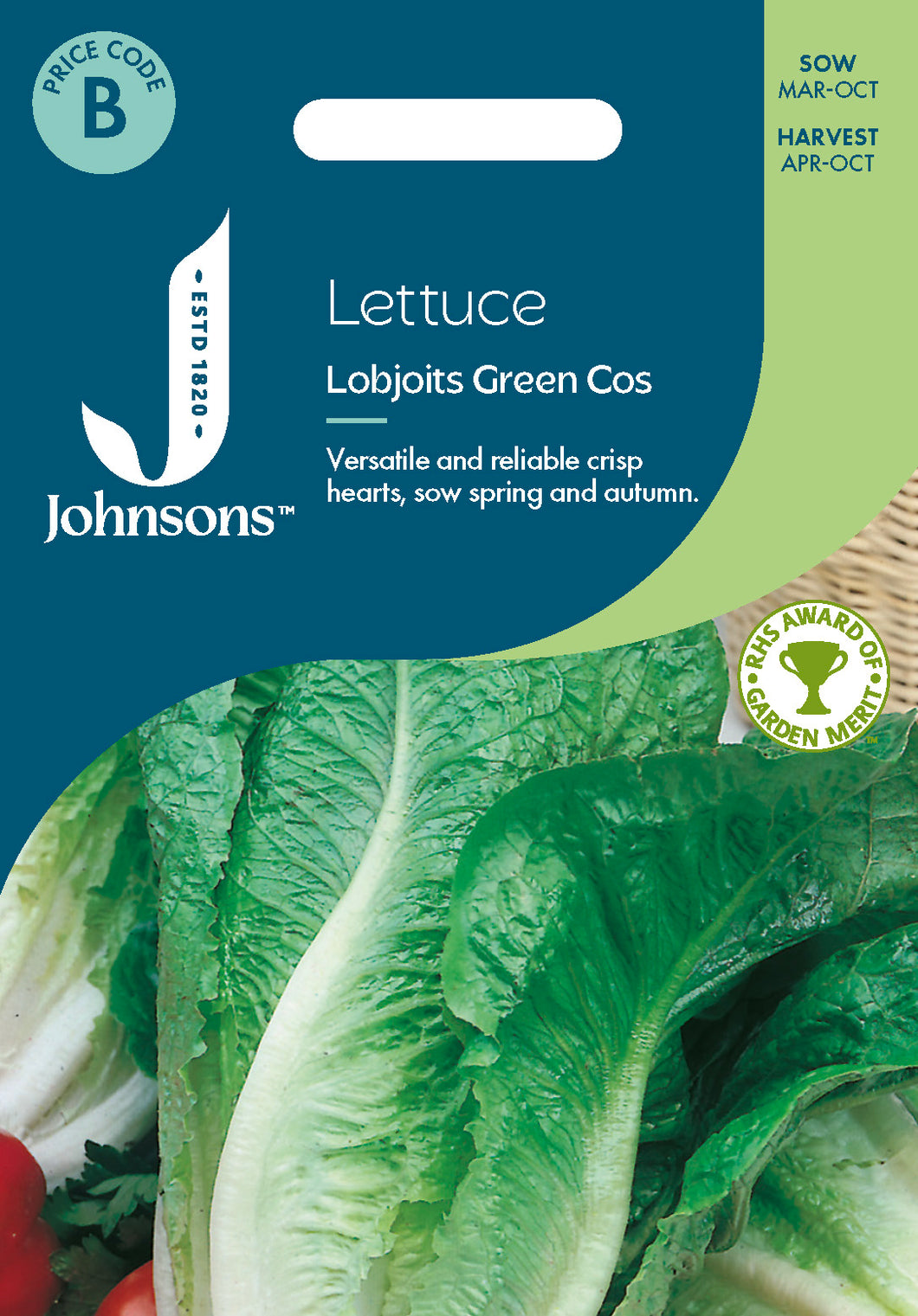 Lettuce Lobjoits Green Cos – Milestone Garden Centre