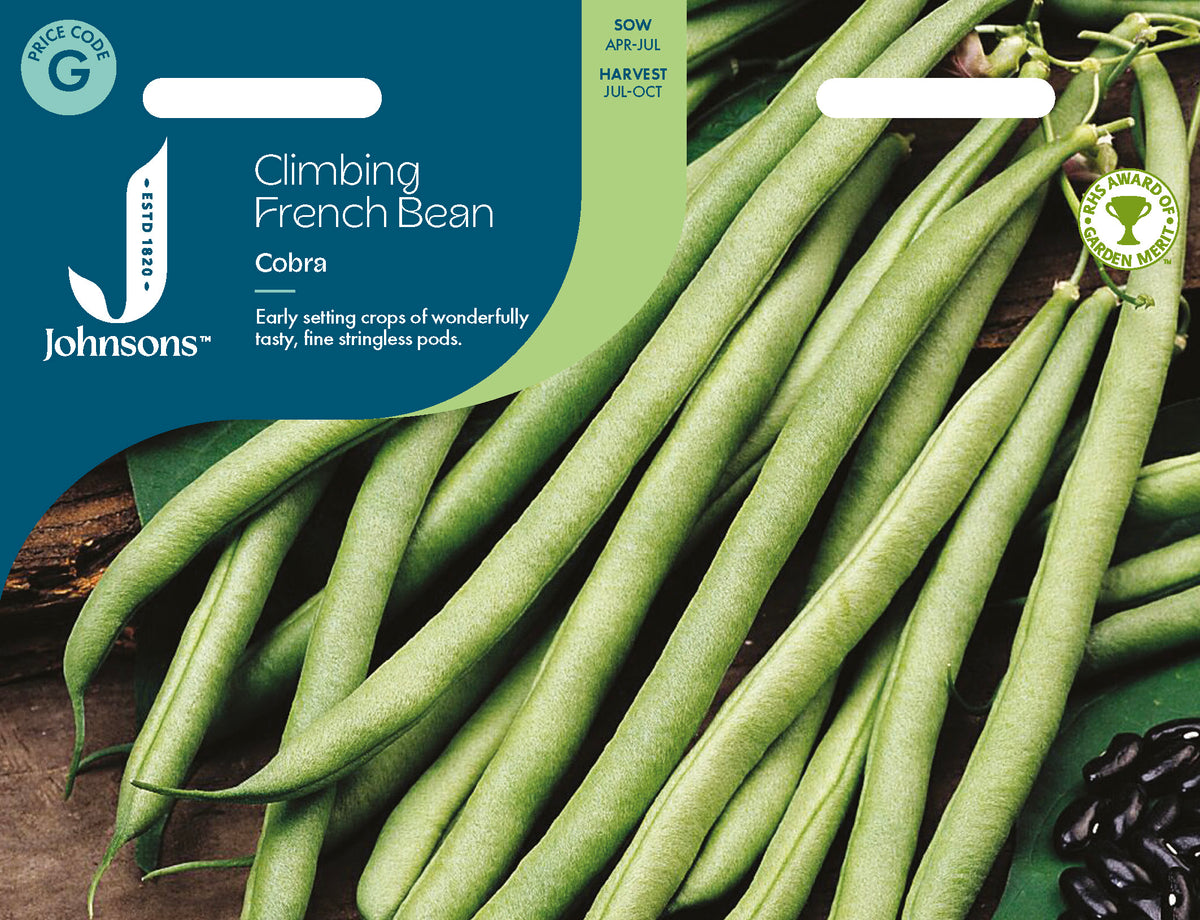 Climbing French Bean Cobra – Milestone Garden Centre