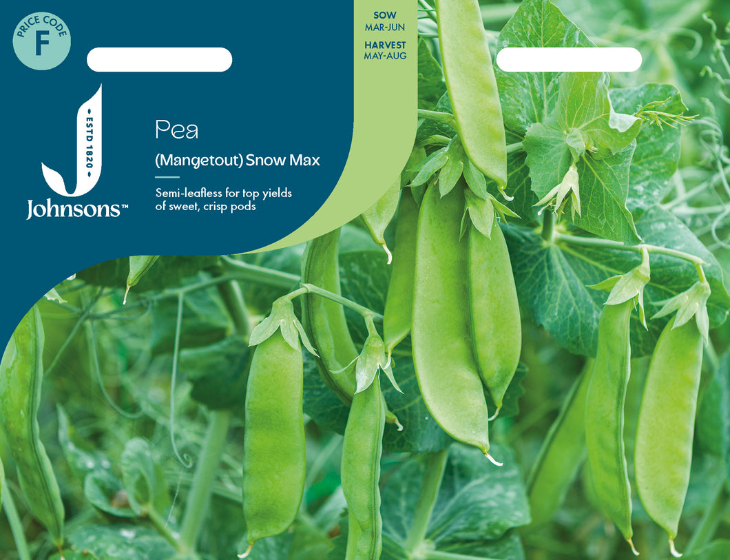 Pea (mangetout) Snow Max – Milestone Garden Centre