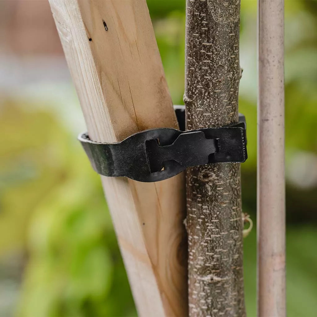 Rubberised Tree Ties – Milestone Garden Centre