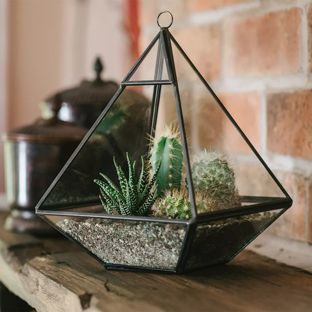 Grow it Glass Pyramid Terrarium – Milestone Garden Centre